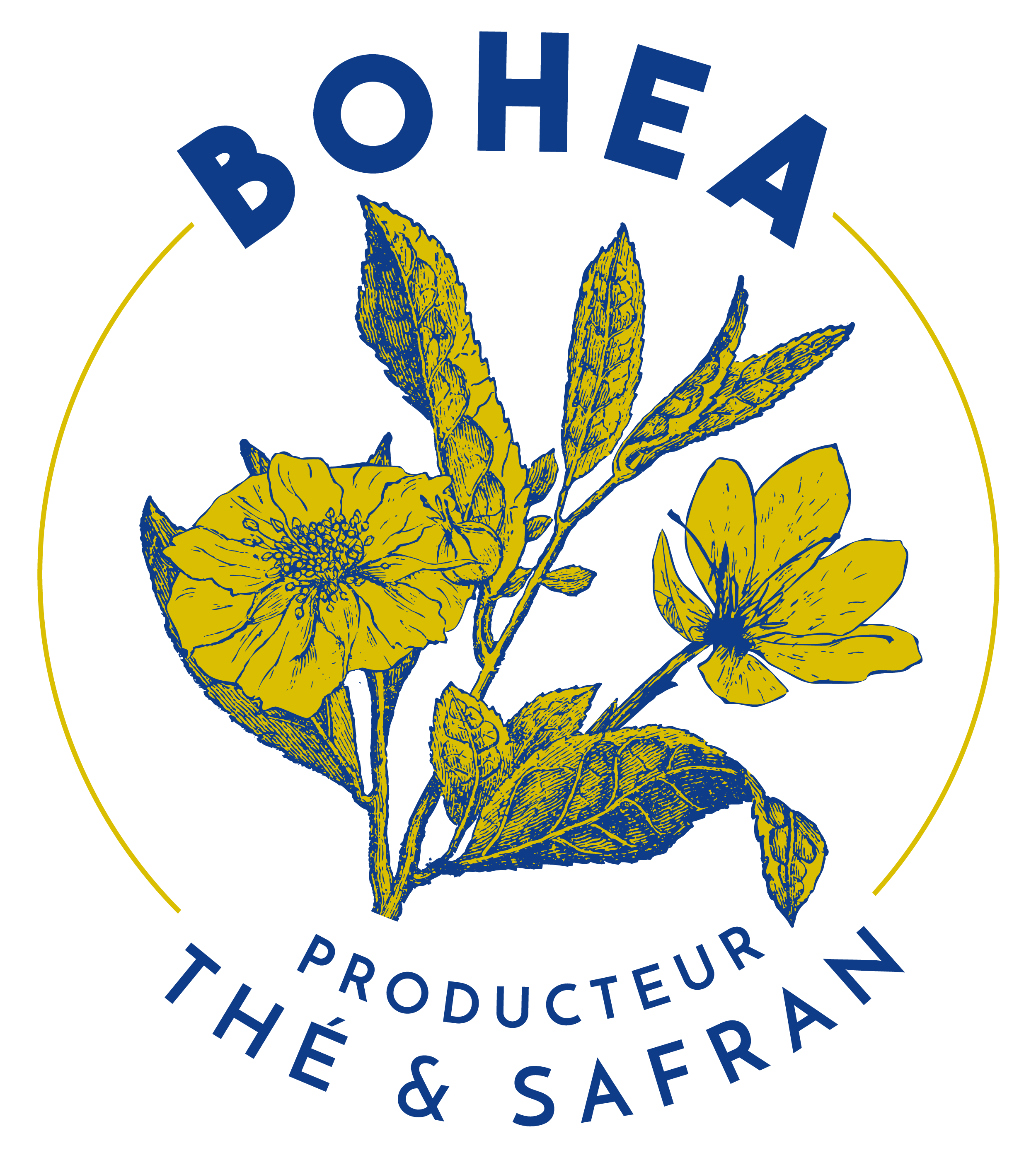 Vends Safran et Thé Biologique en Bretagne - Bohea on Gens de Confiance