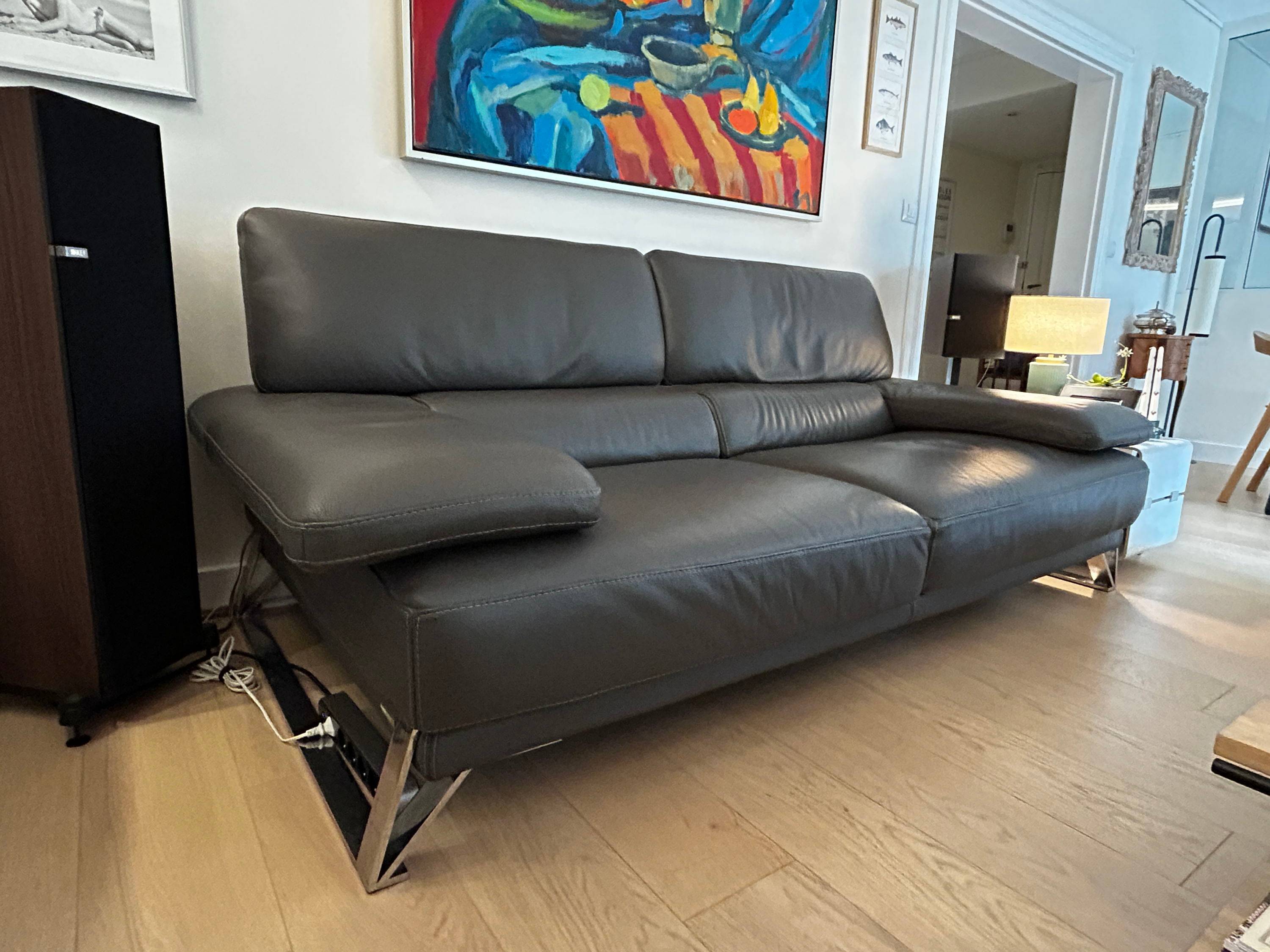 Canape Cuir Roche Bobois