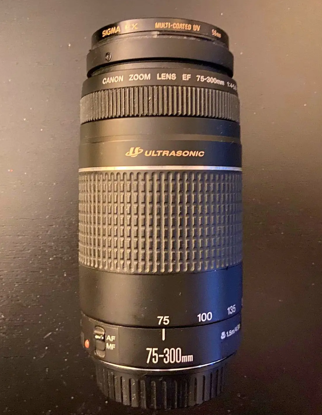Zoom Canon 75-300 USM III sur Gens de Confiance