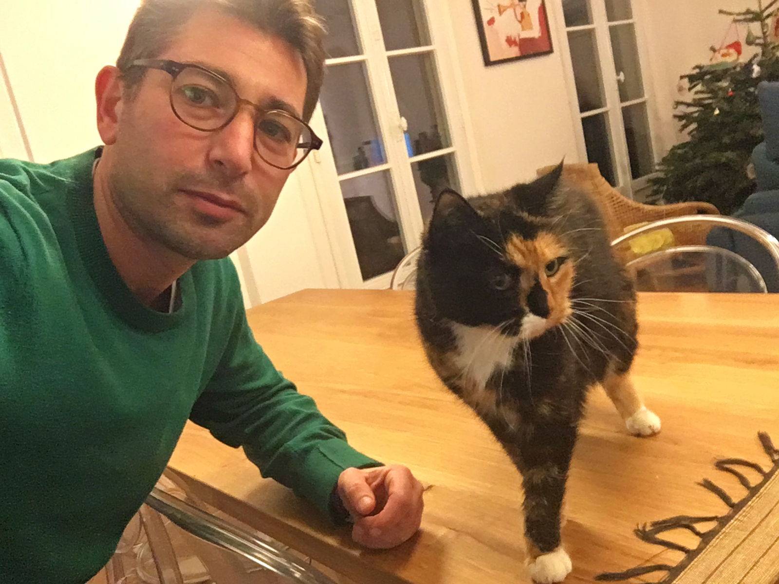 Propose services Catsitting - Visite chat à domicile (pour les vacances ...