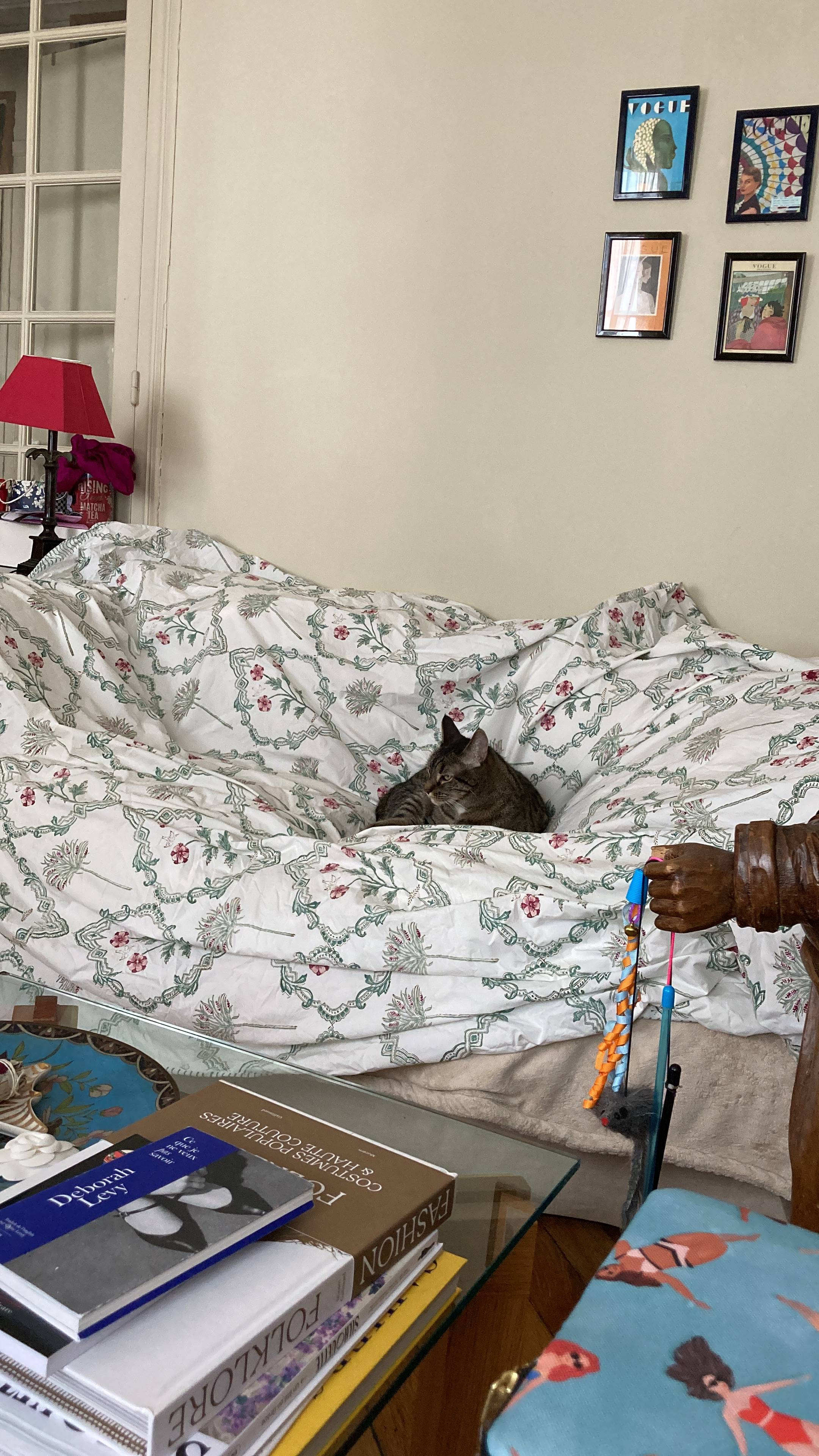 Cherche garde chat sur Gens de Confiance