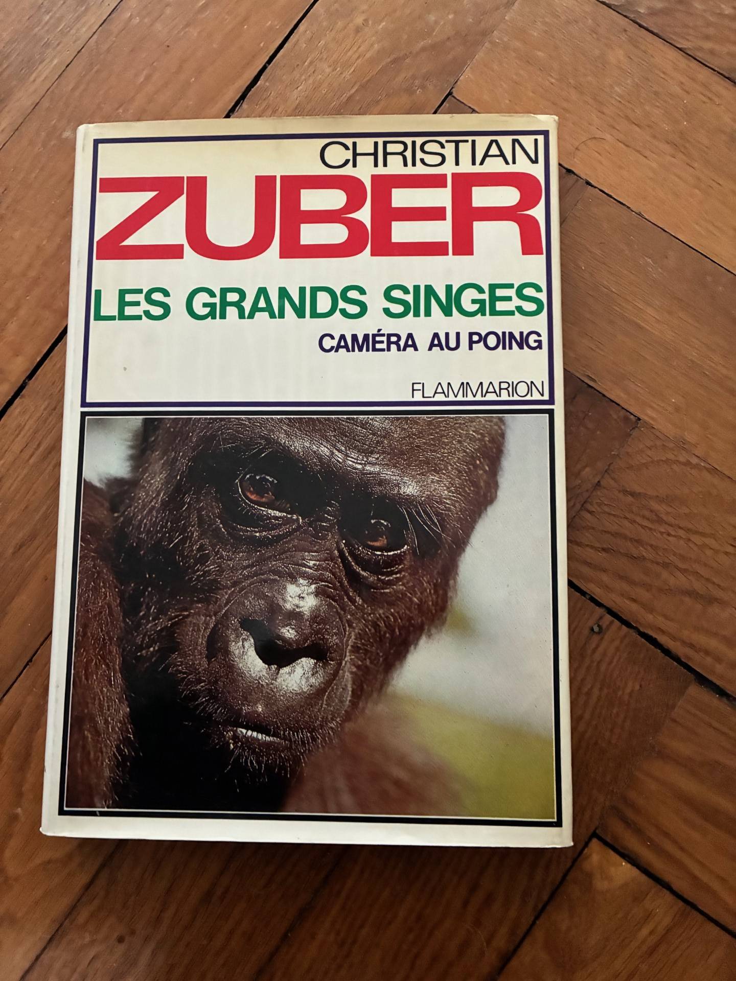 "Les grands singes" par Christian Zuber on Gens de Confiance
