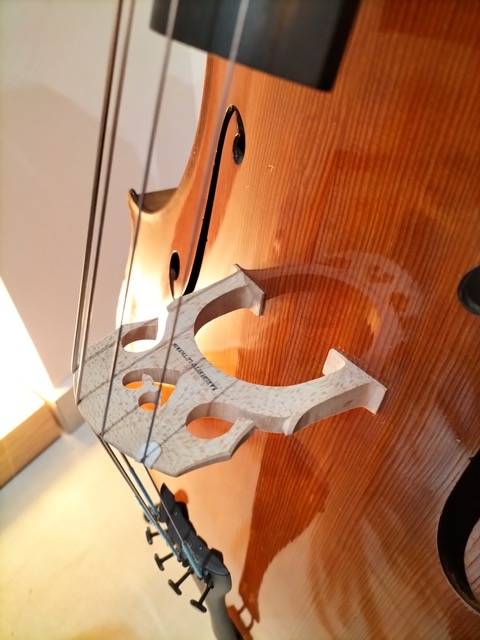 Violoncelle Luthfi Becker sur Gens de Confiance