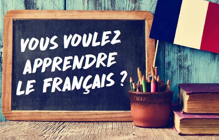 Propose cours de FLE en ligne - préparation DELF A1, A2, B1, B2 ...