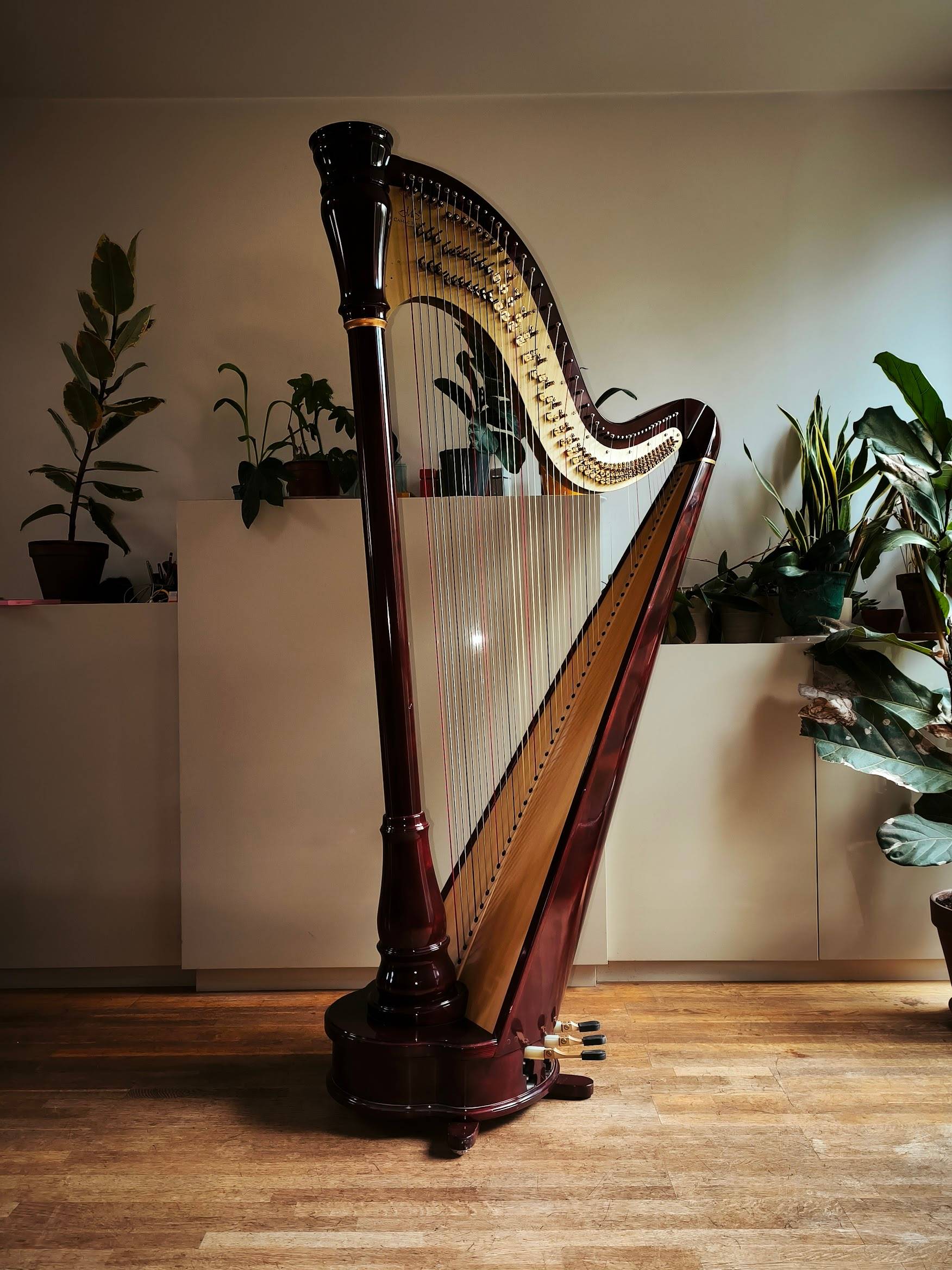 Harpe Athéna (Camac 2010, 47 cordes, 7 pédales, entièrement revisée ...