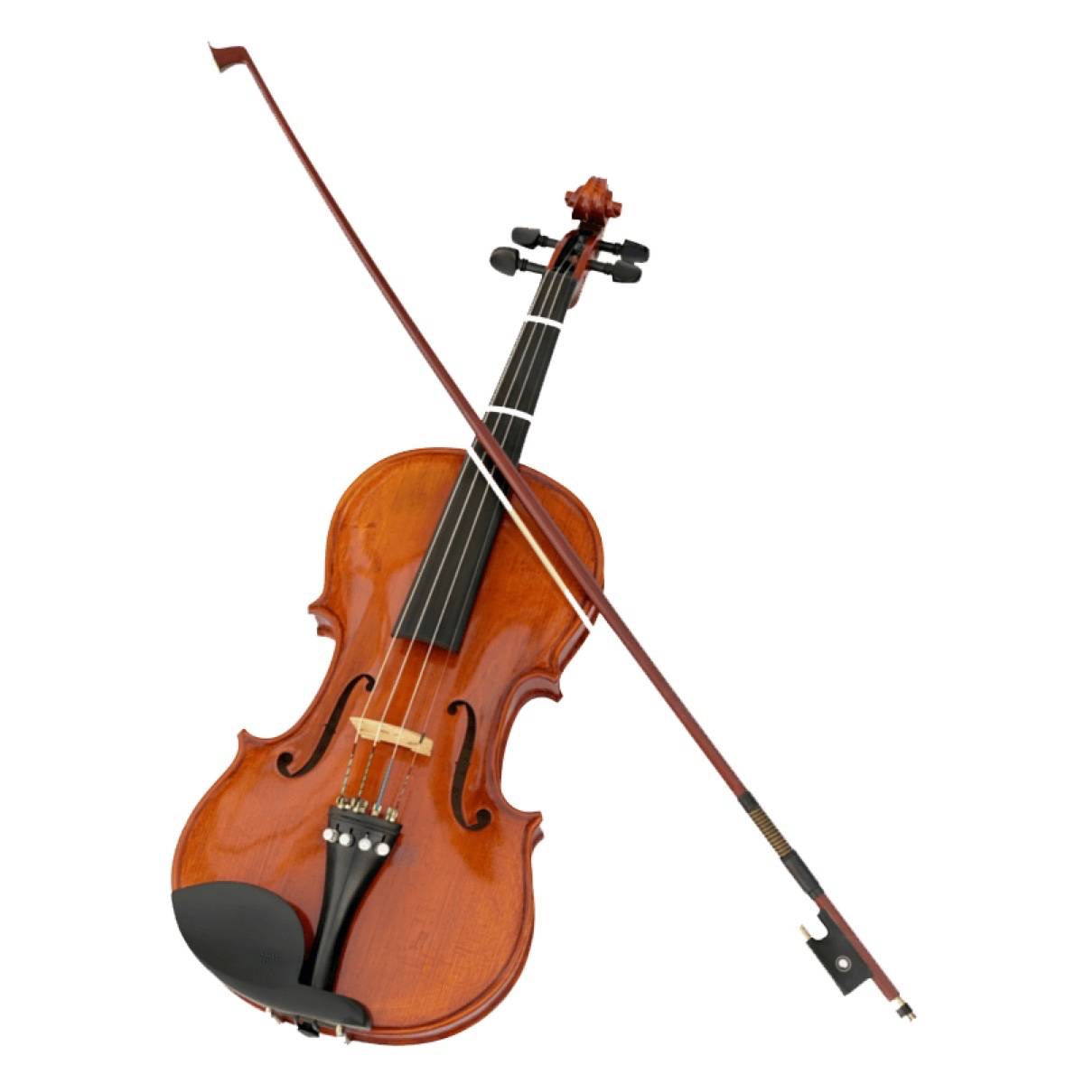 Propose Cours de violon pour tous niveaux on Gens de Confiance