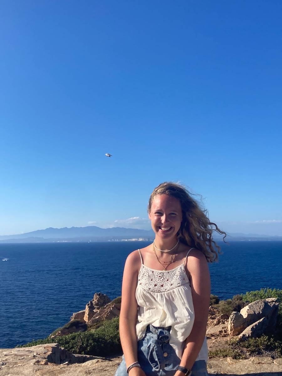 Proposition de cours particuliers en français tous niveaux & bac de ...