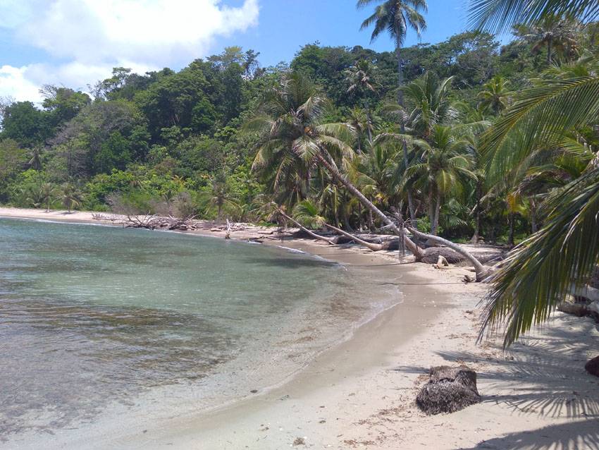 Terrain à vendre à Sapzurro, département du Choco, Colombie à 15 min de ...