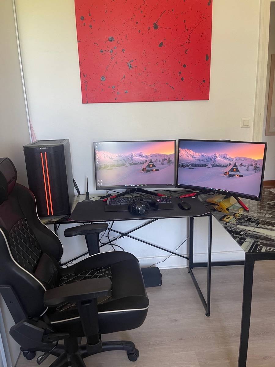 SetUp PC Gamer Complet sur Gens de Confiance