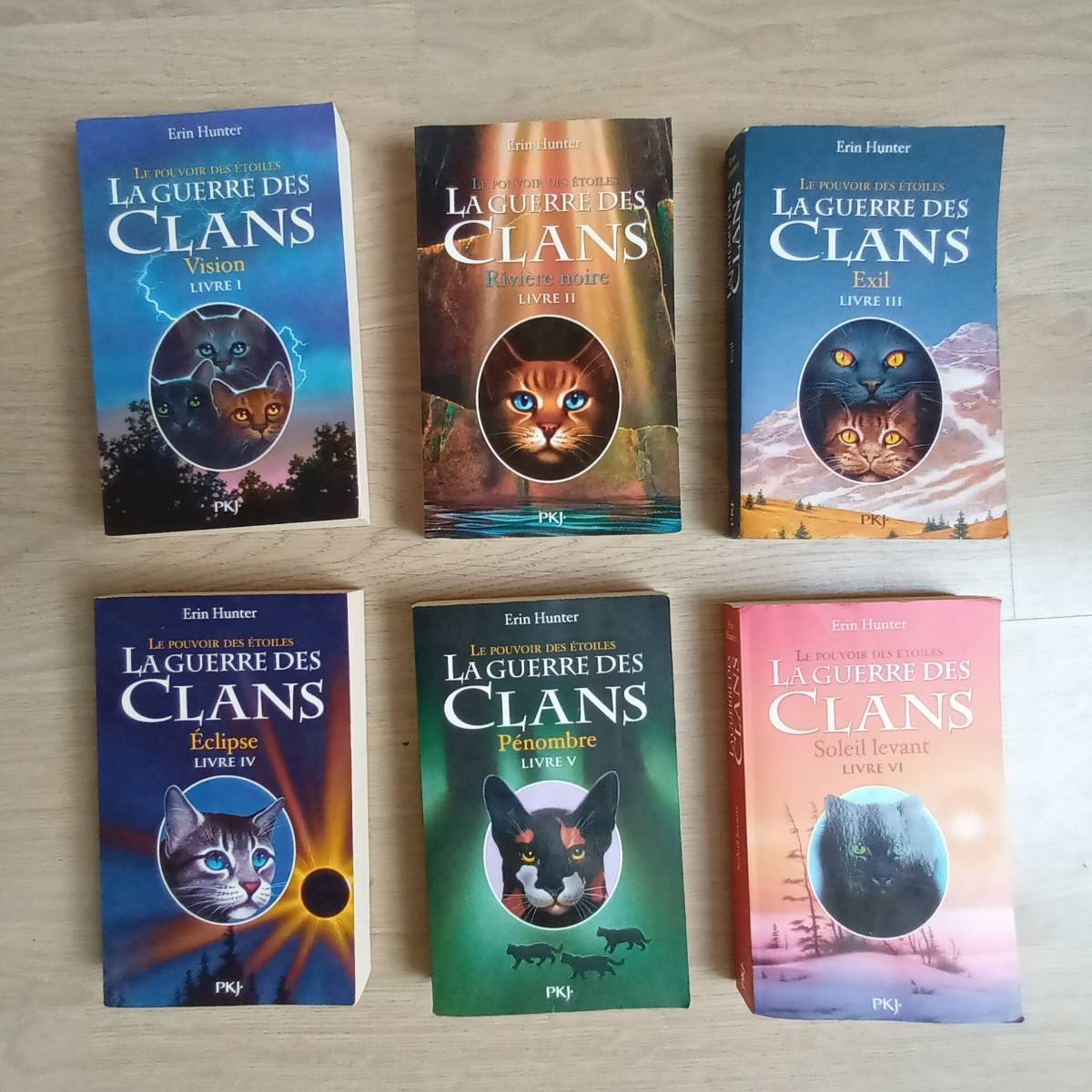 Vends cycle 3 de la série de livres "Guerre des clans" sur Gens de Confiance