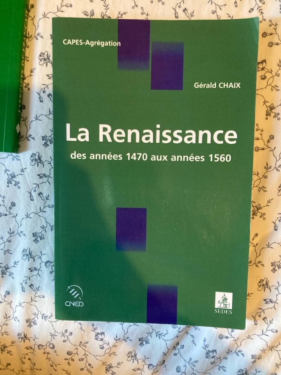 Vends livre « La renaissance des années 1470 aux années 1560 » sur Gens de Confiance