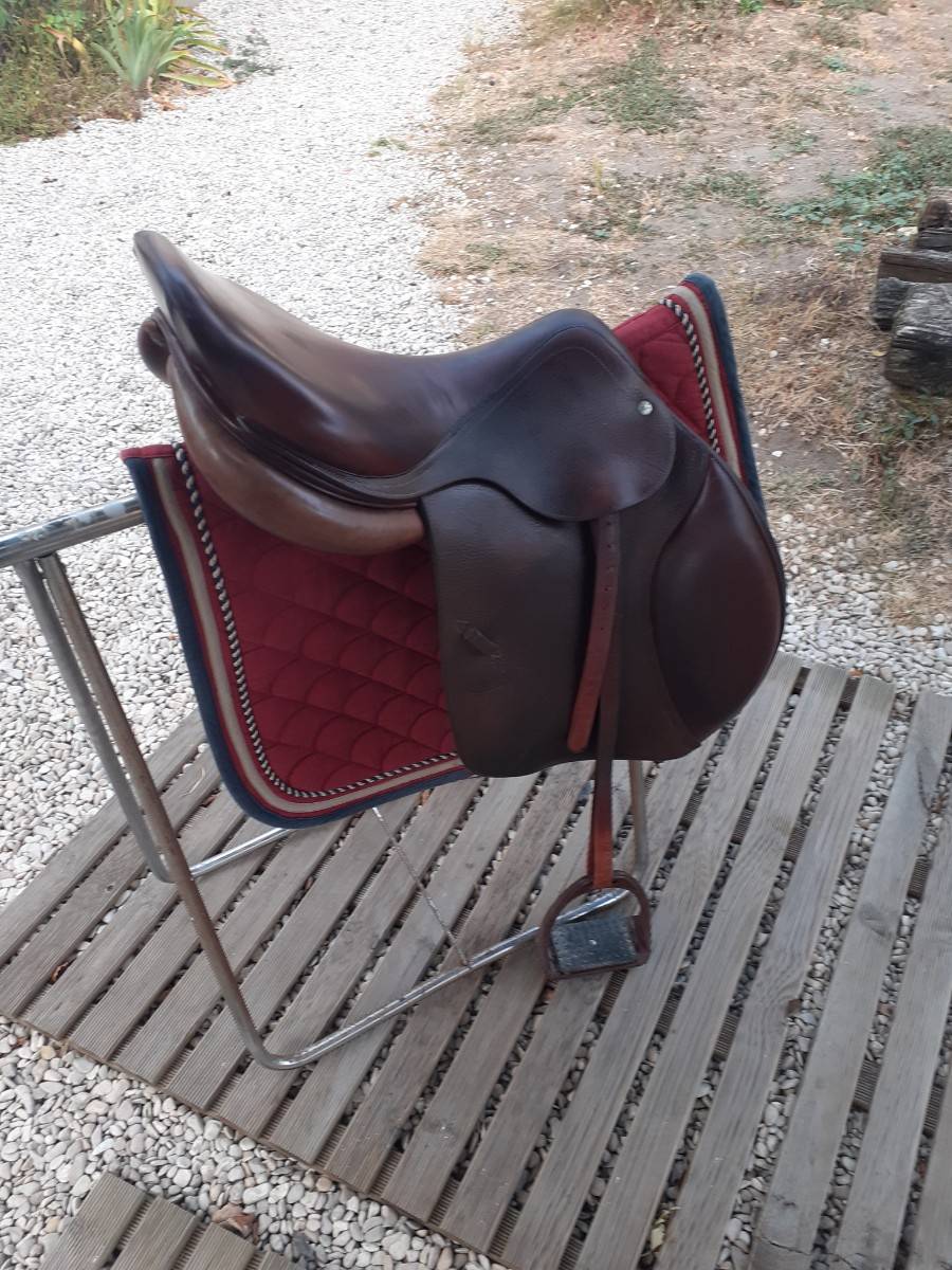 Vends Selle Cwd 17,5’ avec etrivières, sangle, collier de chasse on ...